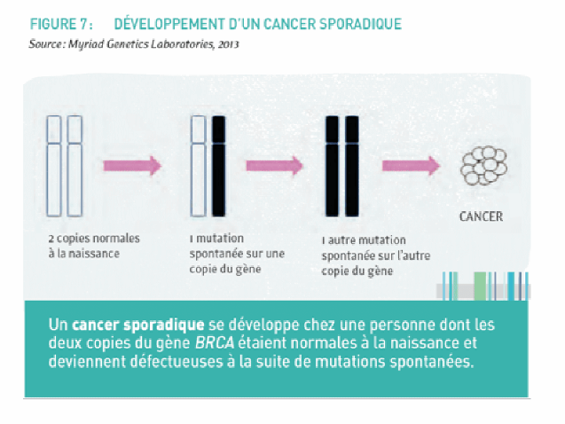 Développement d’un cancer sporadique