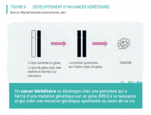 Développement d’un cancer héréditaire
